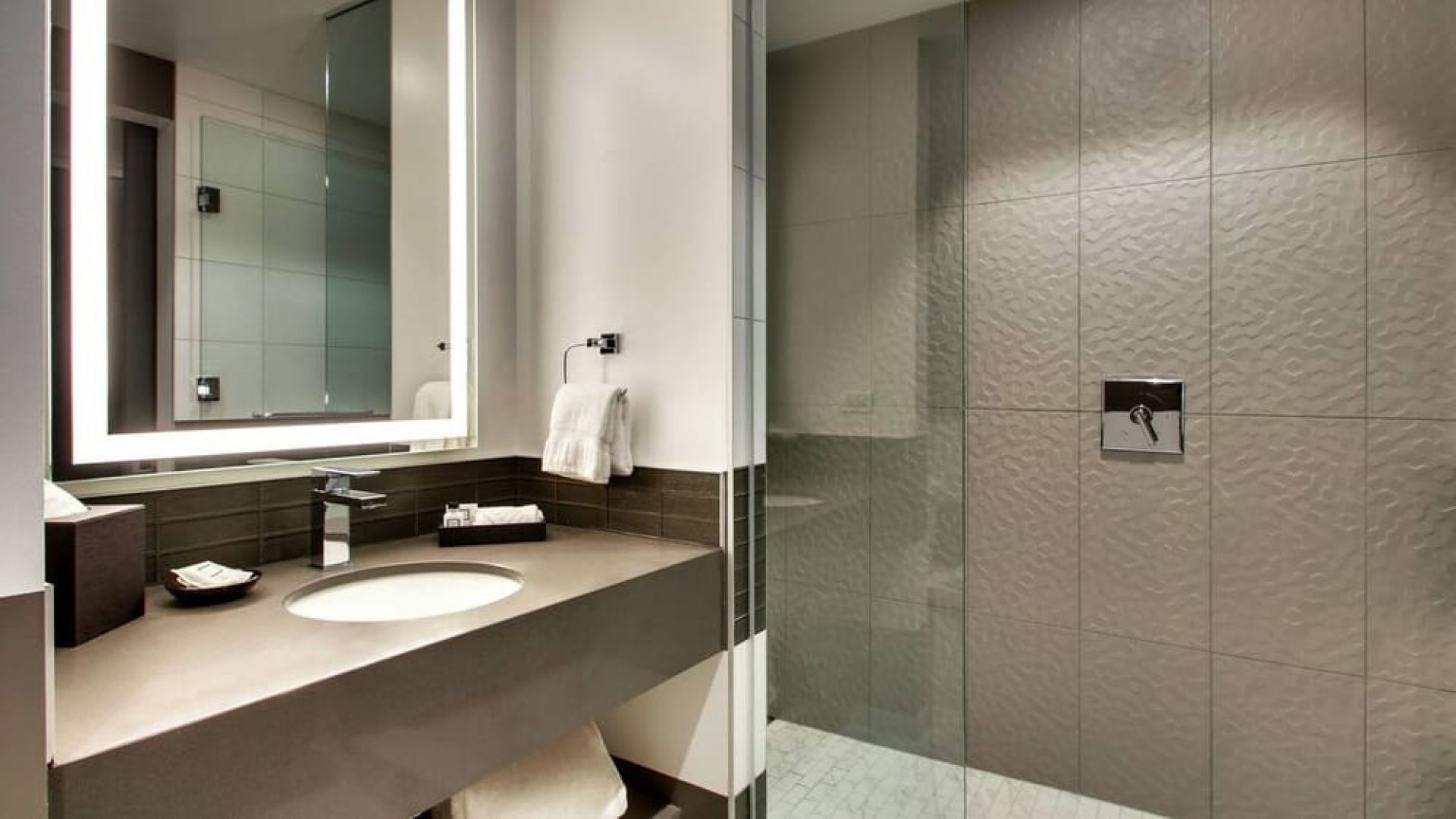 The Rose Hotel Chicago O’Hare, Tapestry Collection By Hilton - Rosemont ...